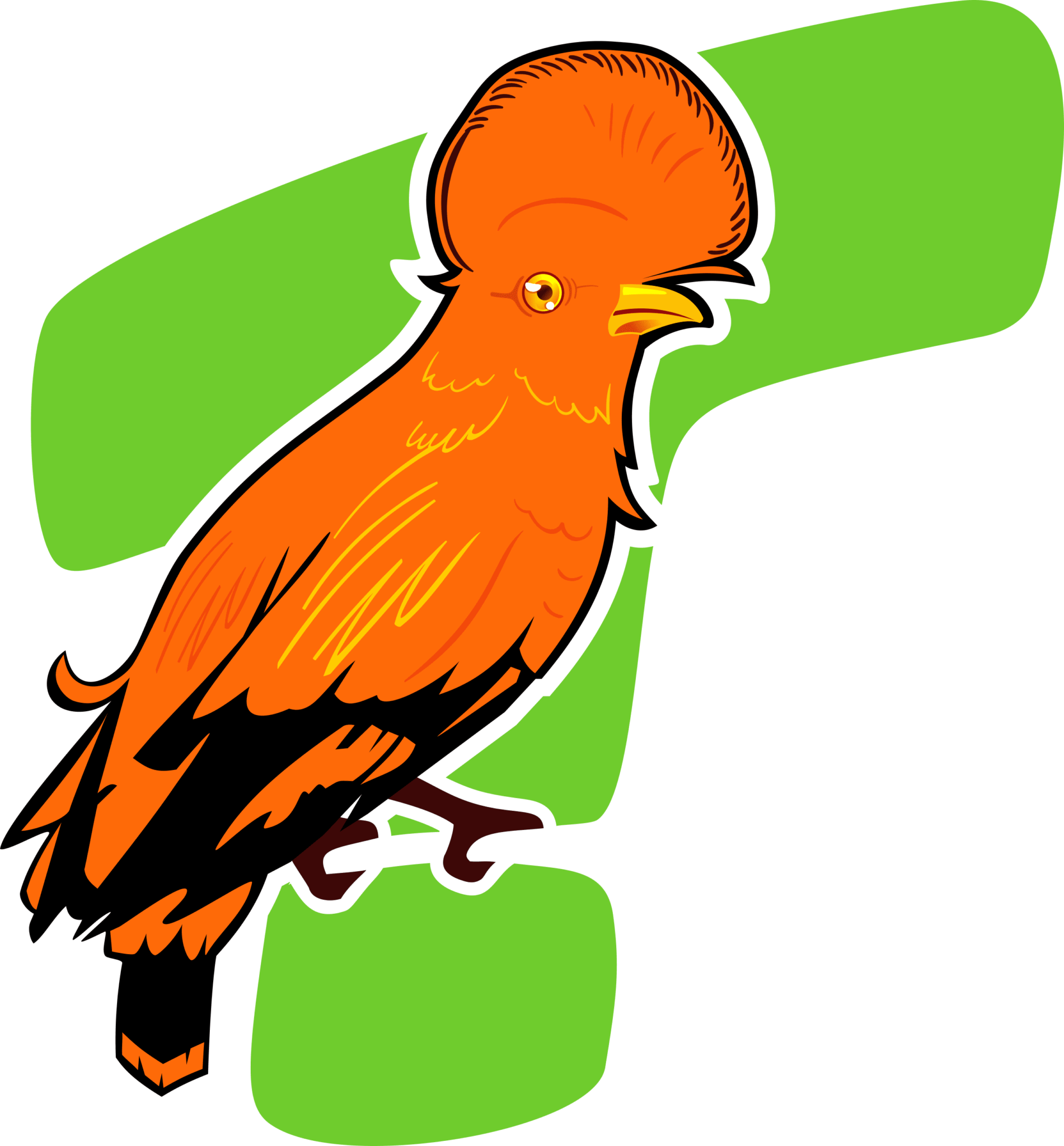 🌊 Plan Pasadías Cascada Arenales - Aventura Natural en Meta